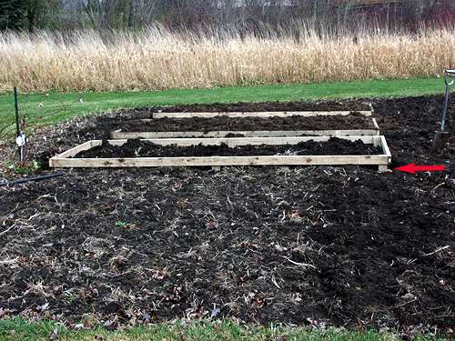 | Plants To Grow Plants Database by Paul S. Drobot