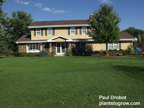 | Plants To Grow Plants Database by Paul S. Drobot