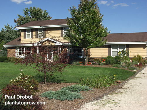 | Plants To Grow Plants Database by Paul S. Drobot