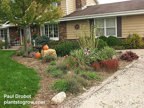 | Plants To Grow Plants Database by Paul S. Drobot