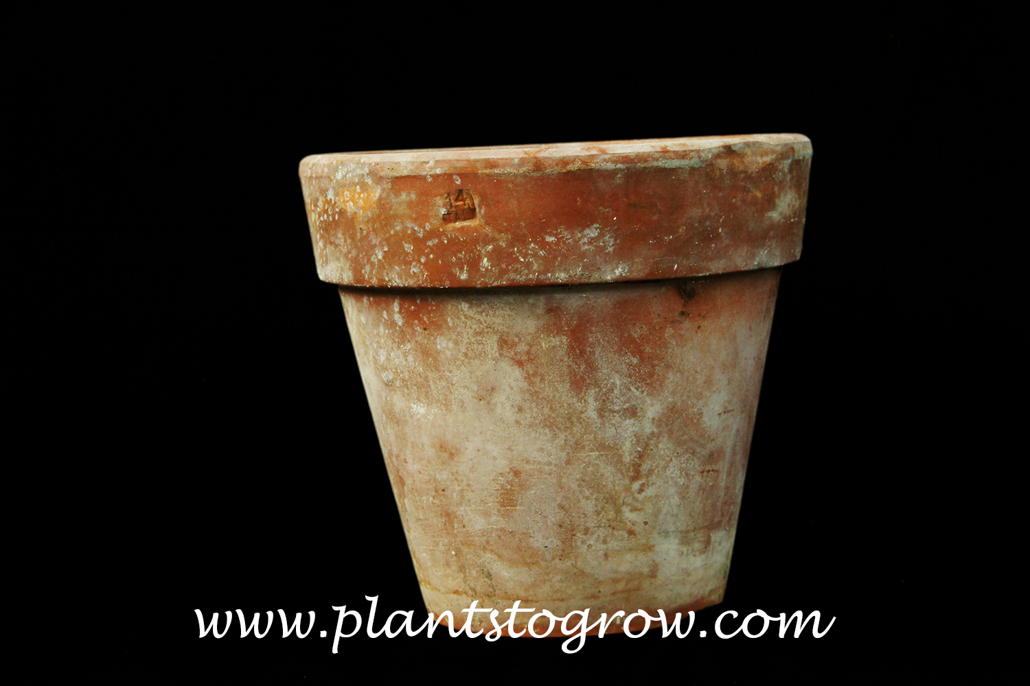 crusty clay pot | Plants To Grow Plants Database by Paul S. Drobot