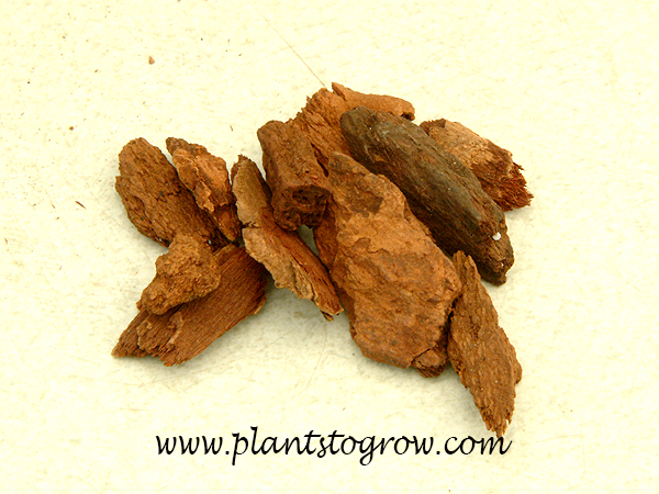 chunk bark | Plants To Grow Plants Database by Paul S. Drobot