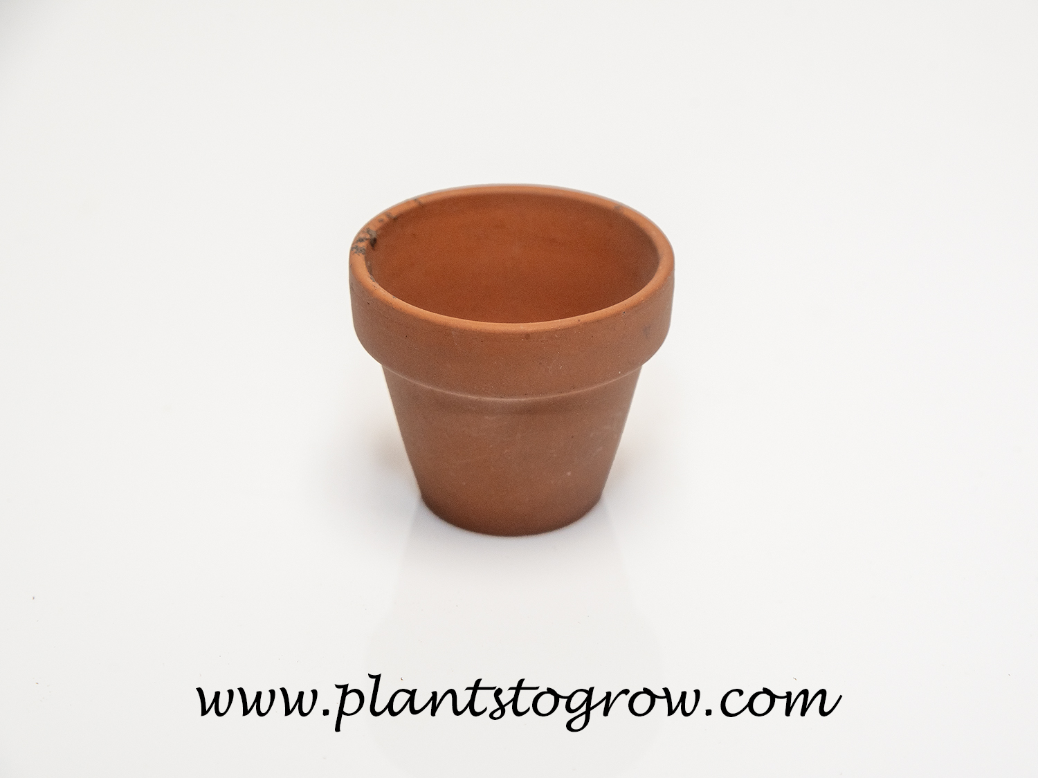 thumb pot | Plants To Grow Plants Database by Paul S. Drobot