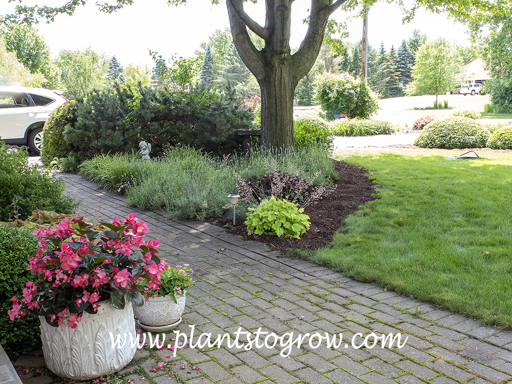 | Plants To Grow Plants Database by Paul S. Drobot