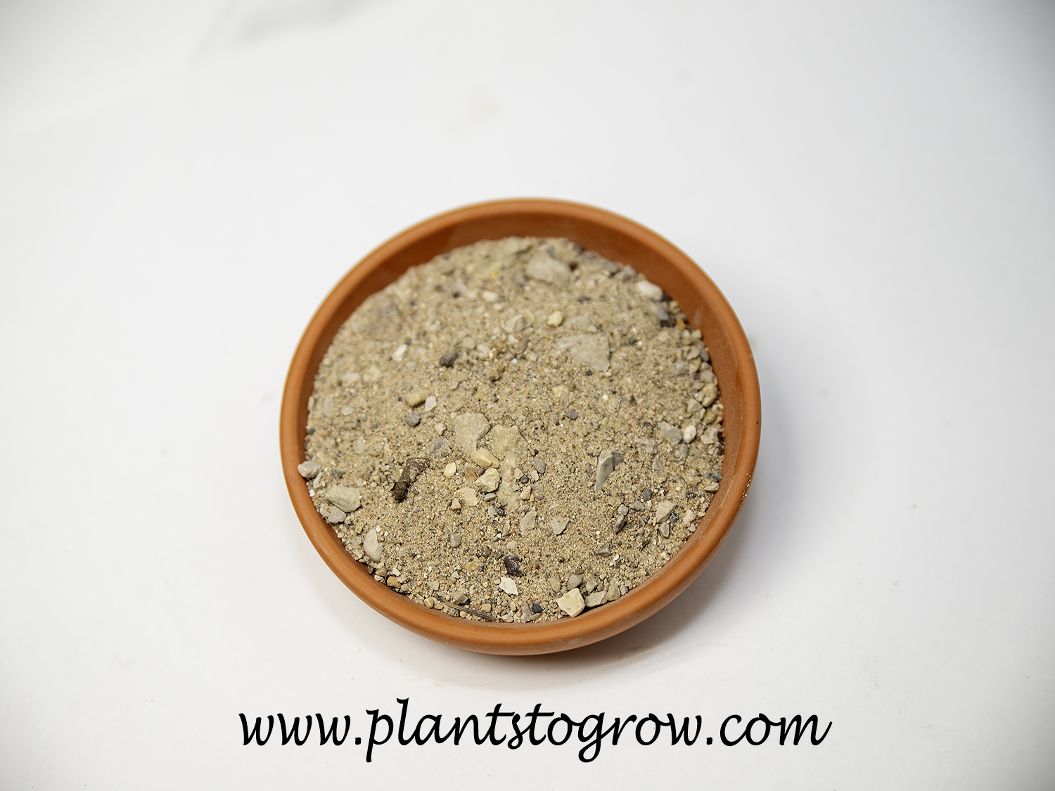 sand | Plants To Grow Plants Database by Paul S. Drobot